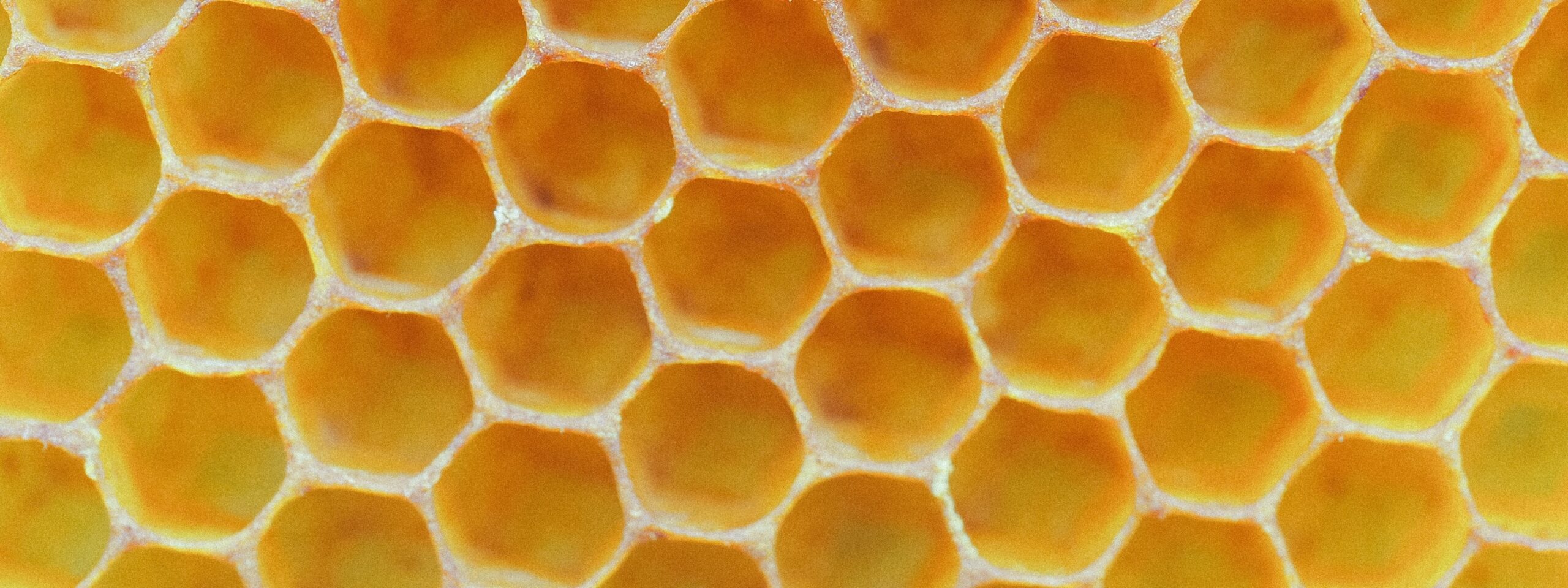 Call for Projects | La Ruche • MCAF